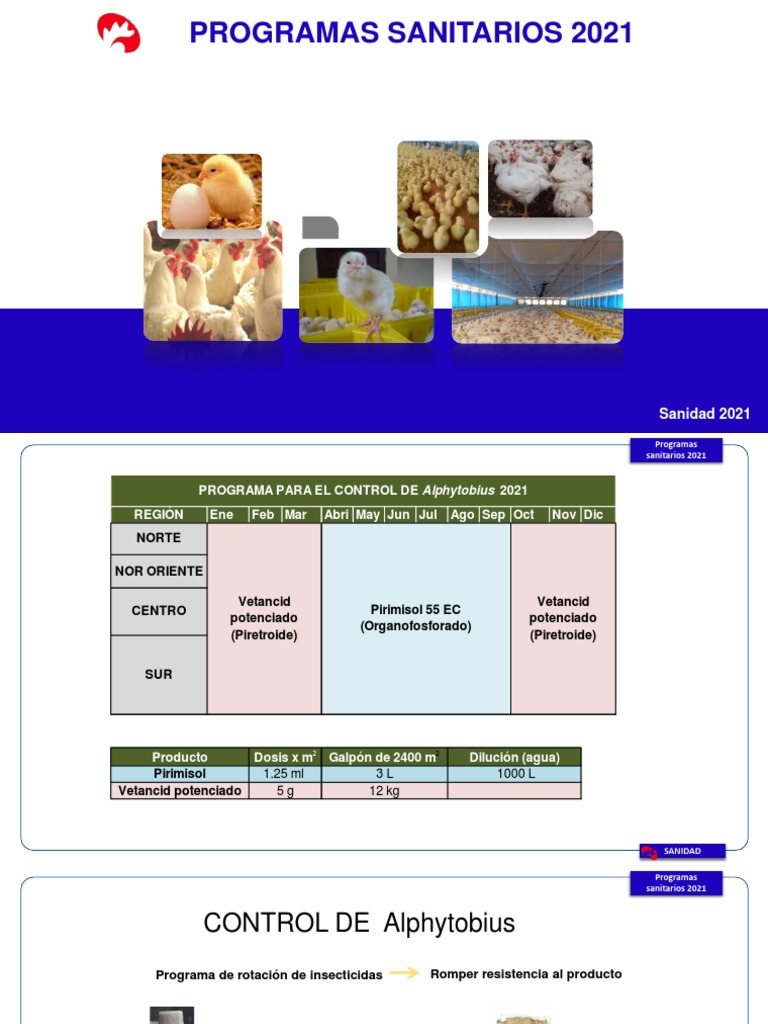 Programas Sanitarios 2021 | PDF | Compuestos químicos | Materiales