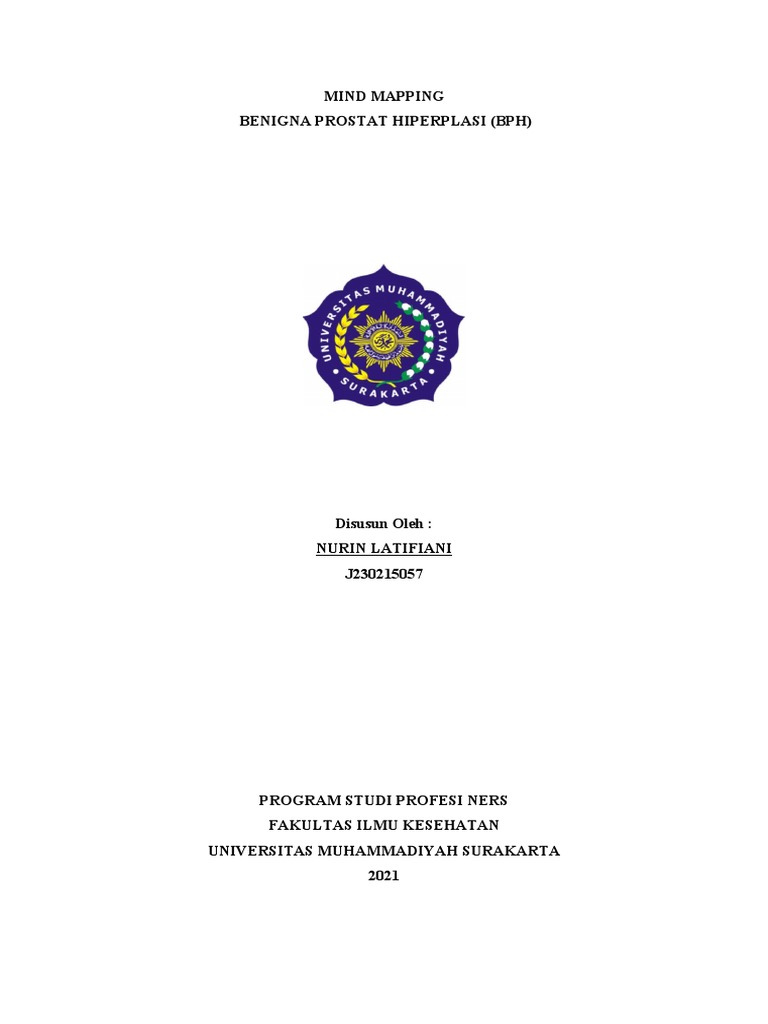 Nurin Latifiani j230215057 Mind Mapping Ums | PDF
