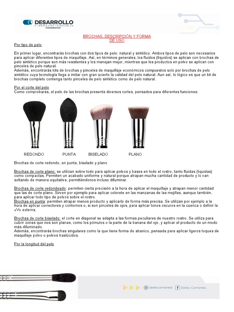 Diferentes Tipos De Brochas De Maquillaje Y Su Uso | atelier-yuwa.ciao.jp