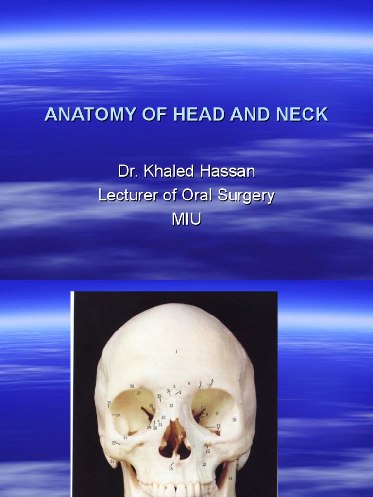 Anatomy of Head and Neck | PDF | Science & Mathematics