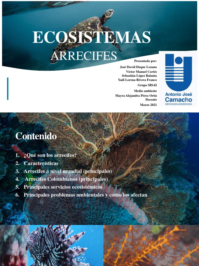 Ecosistemas de Arrecifes Coralinos | PDF | Arrecife de coral | Oceanografía