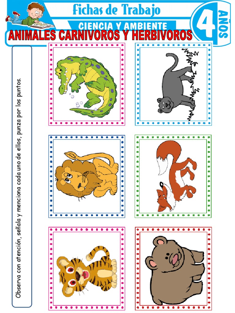 Animales Carnivoros y Herbivoros para Ninos de 4 Anos | PDF