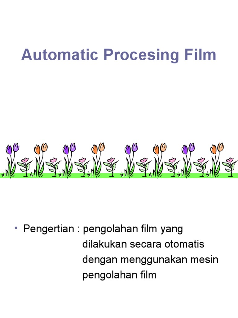 Automatic Processing | PDF