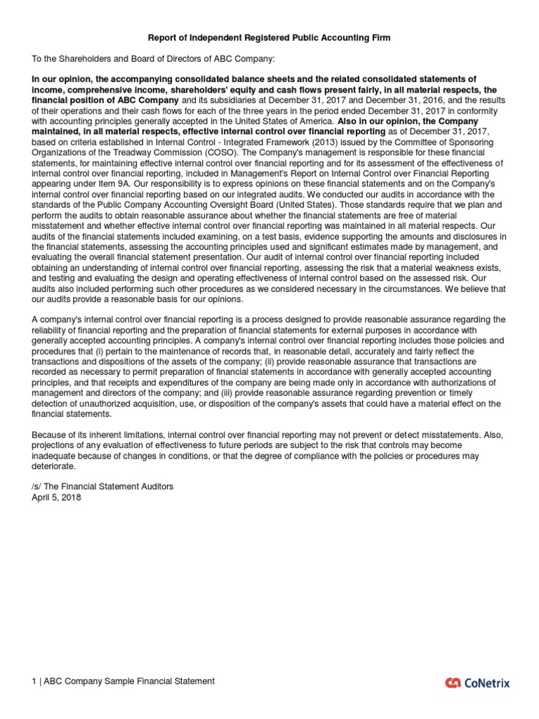 Abc-Company-Example-Financial-Statements | PDF | Audit | Financial ...