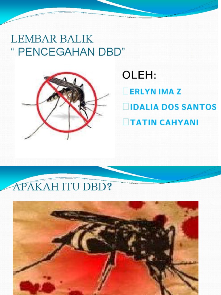 Lembar Balik Promkes DBD | PDF