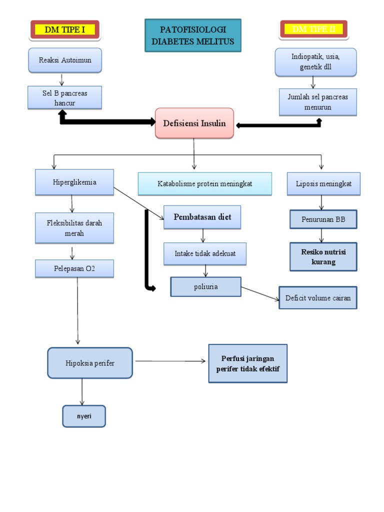Patofisiologi DM Tipe 1,2 | PDF