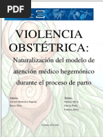 Mortinato y Óbito Fetal: Definiciones y Causas | PDF | Dolor | El embarazo