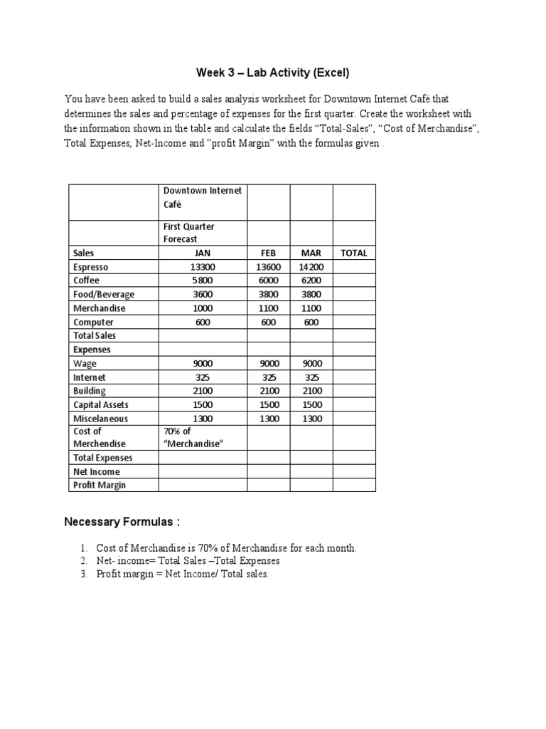 Week 3 Lab Activity 2 (Excel) | PDF