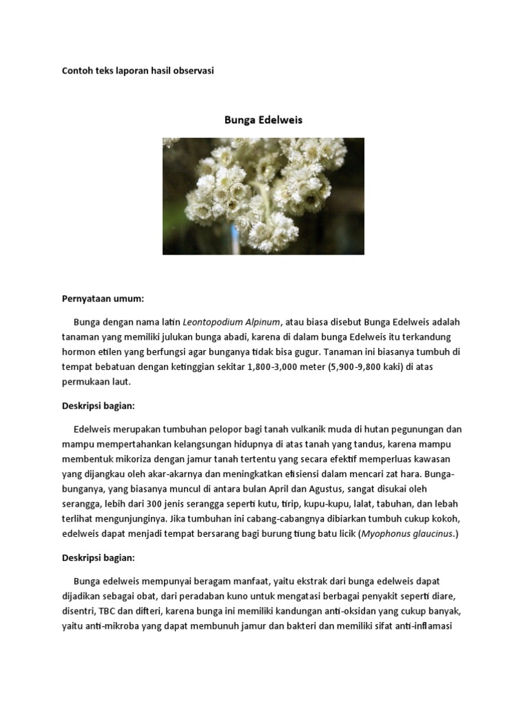 Contoh Teks LHO | PDF