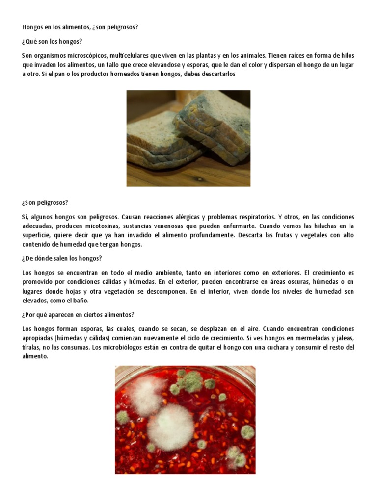 Hongos en Los Alimentos | PDF | Micotoxinas | Alimentos