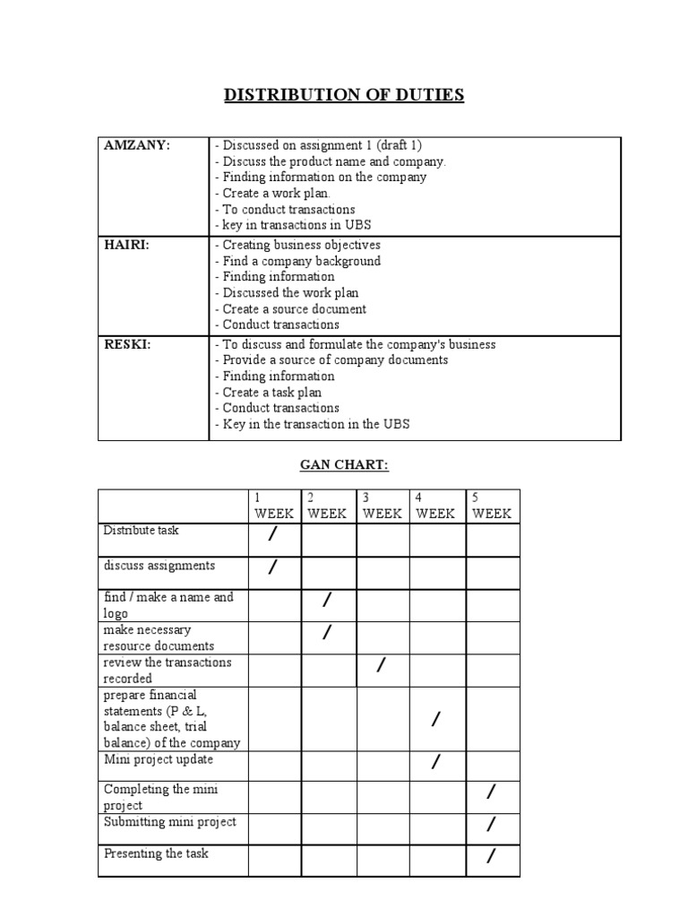 Team Task Distribution and Timeline | PDF