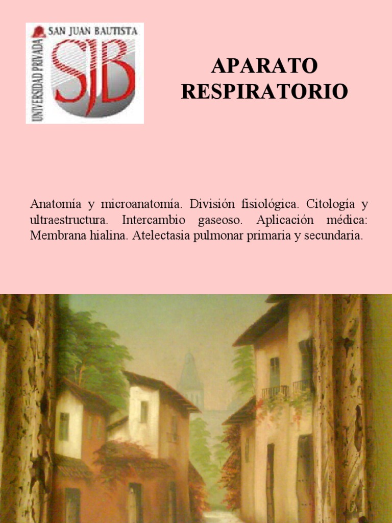 Catorceava 1. APARATO RESPIRATORIO | Descargar gratis PDF | Epitelio ...