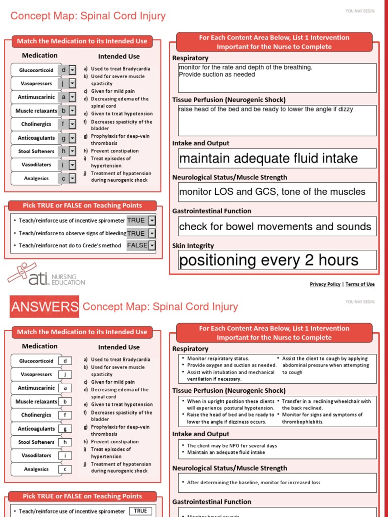 Spinal Cord Injury Concept Map | PDF | Shock (Circulatory) | Spinal ...