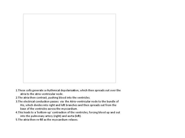 Lesson 1.2-Part 2 | PDF