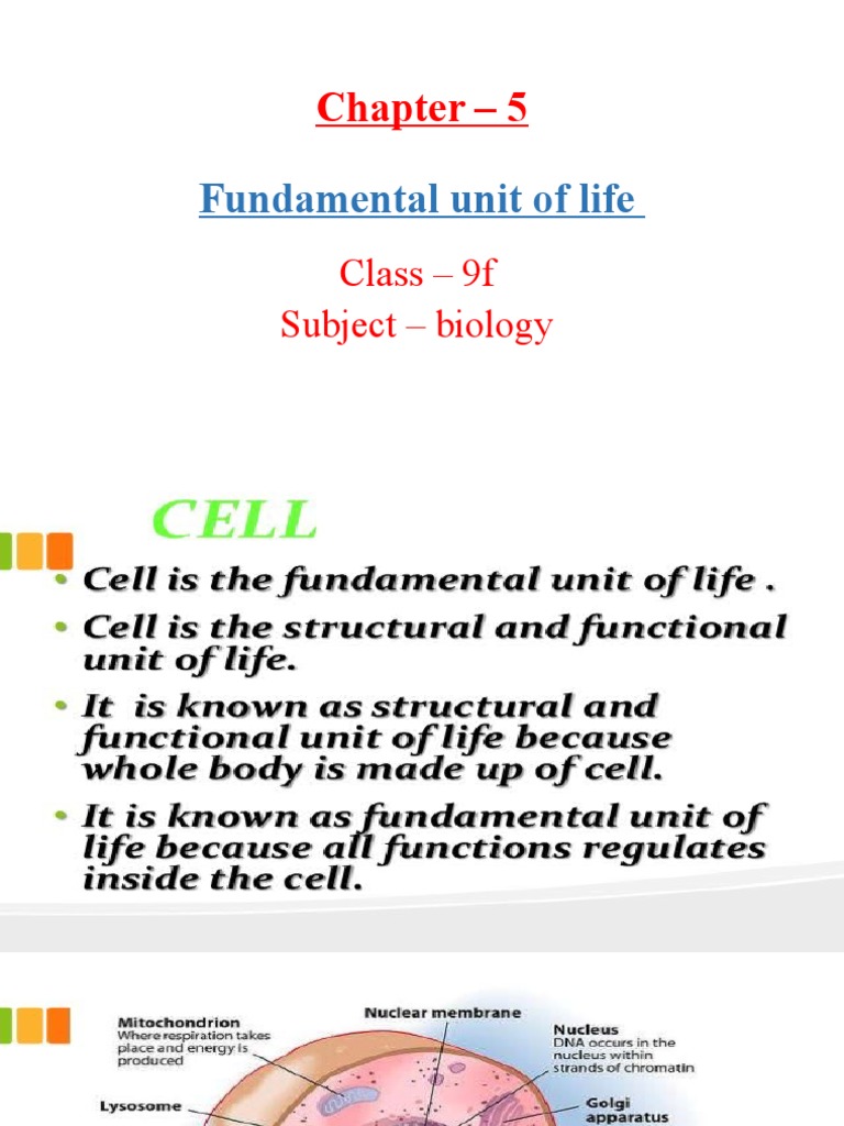 Fundamental Unit of Life | PDF