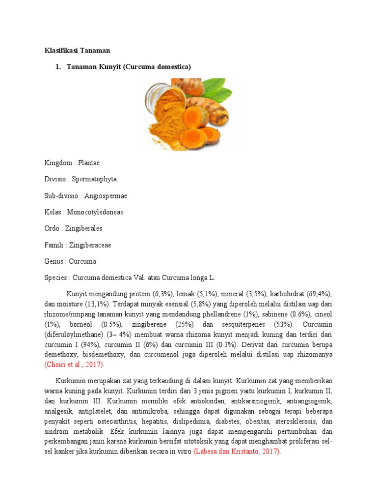 KLASIFIKASI TANAMAN KUNYIT DAN ASAM JAWA | PDF