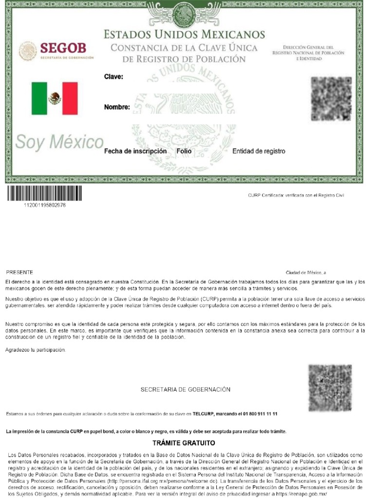 Curp Blanco Rellenar PDF | PDF