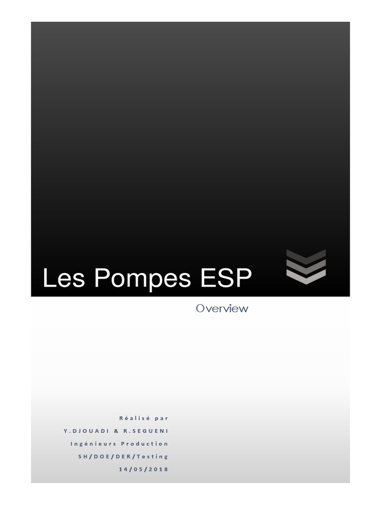 Comprendre les Pompes ESP | PDF | Pompe | Générateur électrique