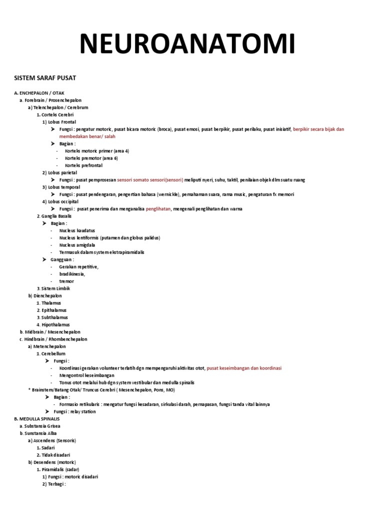 Struktur dan Fungsi Neuroanatomi | PDF
