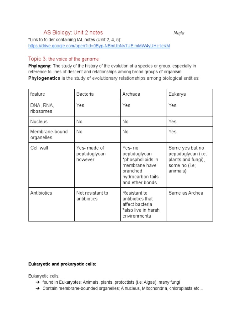 As Biology: Unit 2 Notes (Edexcel) | Download Free PDF | Meiosis ...