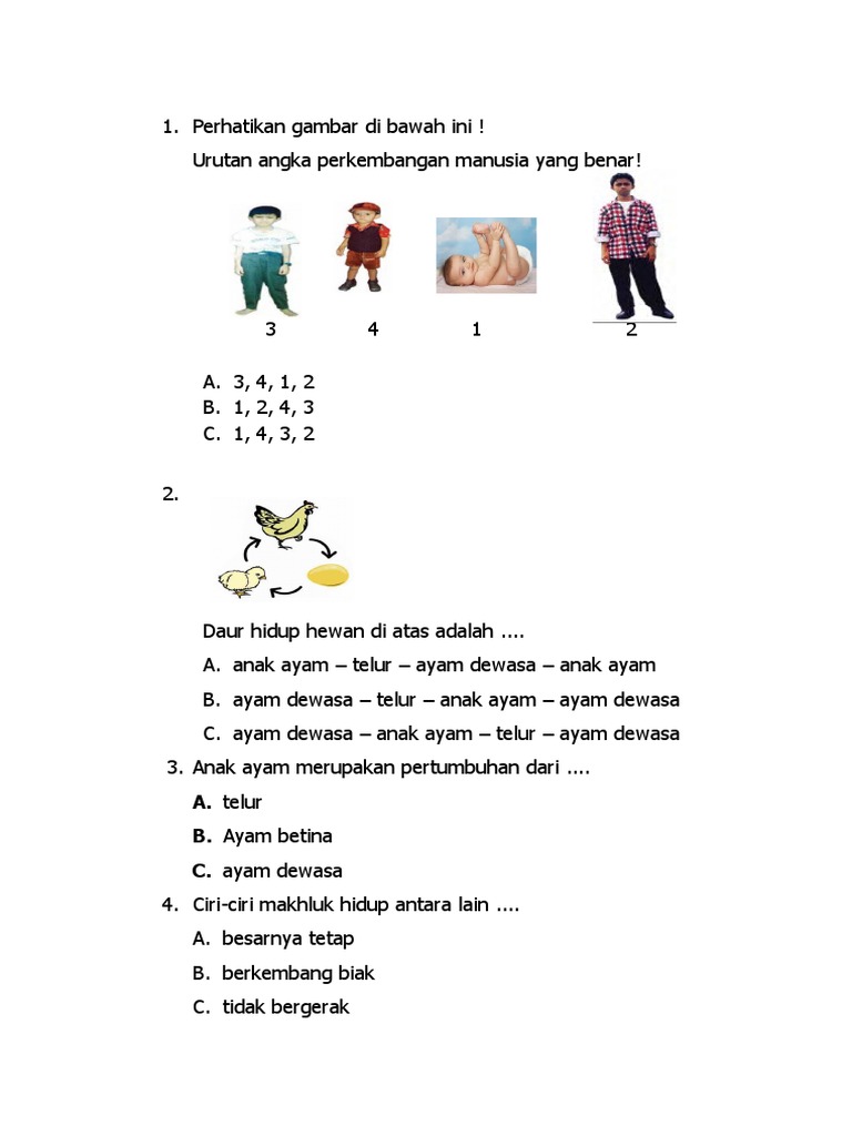 Ipa SMPLB Tunagrahita | PDF