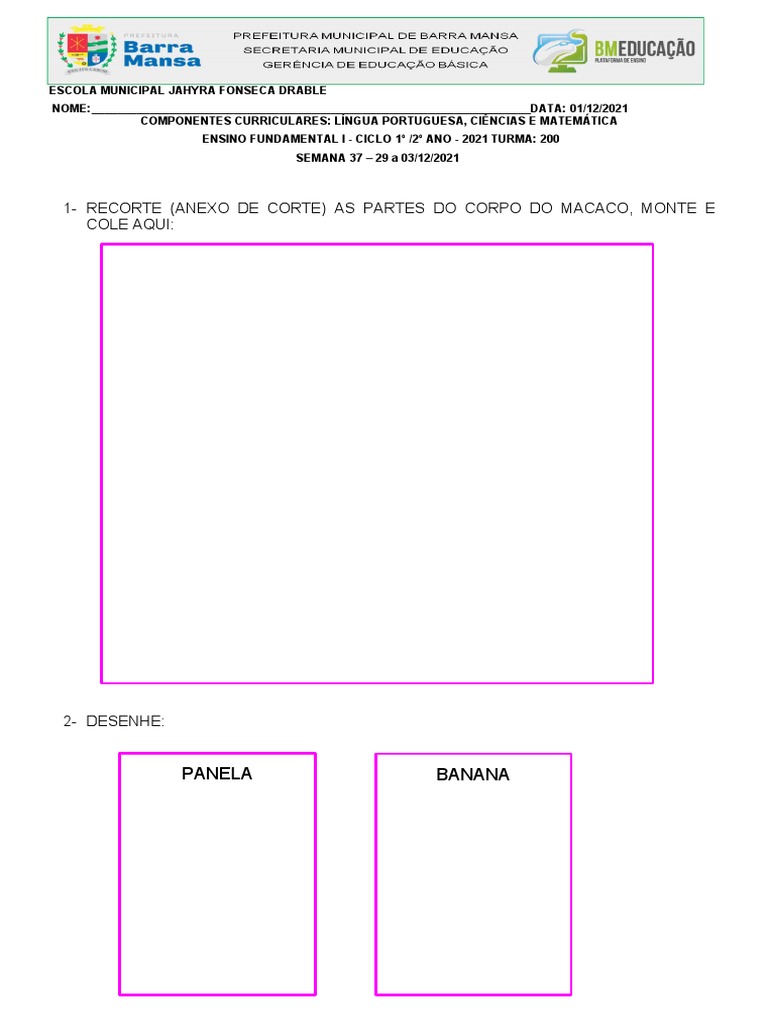 Sequência Didática Macaca Sofia | PDF