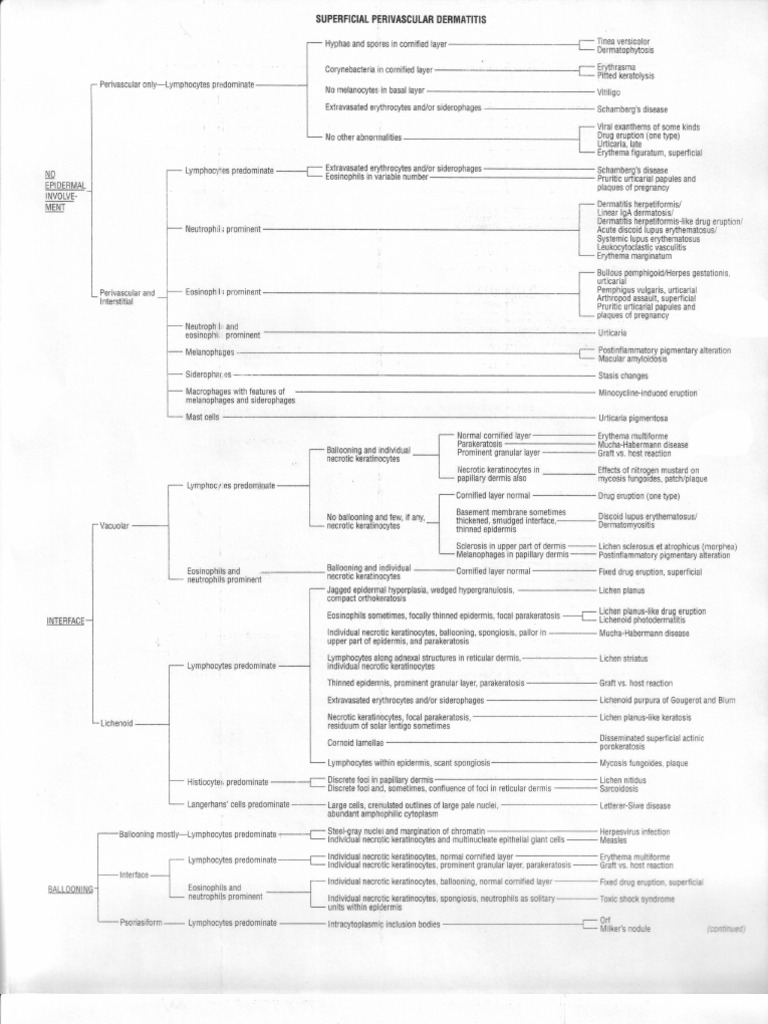 Ackerman's Dermatitis Algorithm | PDF