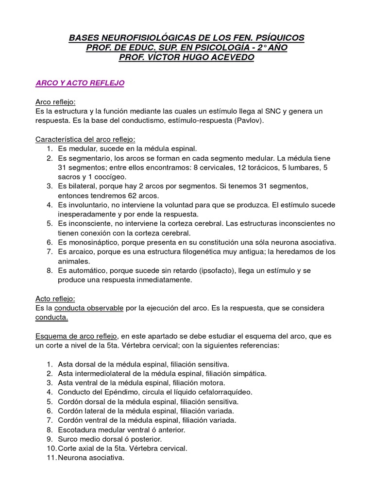 5-Arco y Acto Reflejo | PDF | Nervio | Médula espinal