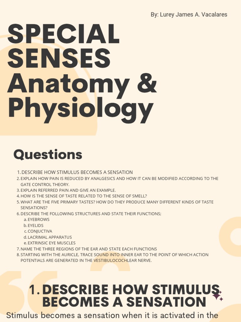 SPECIAL SENSES Anatomy & Physiology | PDF | Taste | Ear