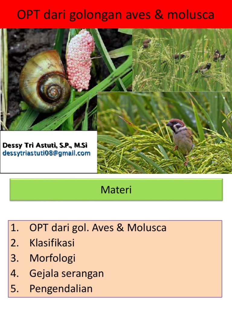 Pengendalian Hama Aves dan Molusca | PDF | Sains & Matematika