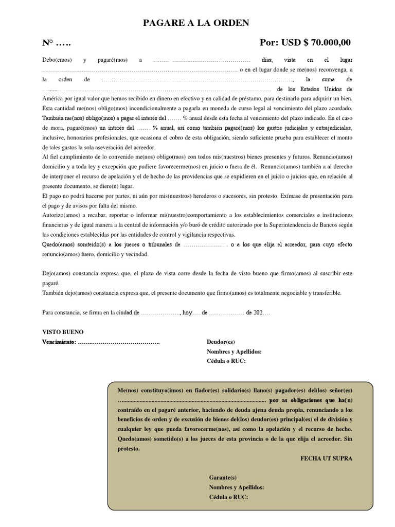 Pagare A La Orden - S-N | PDF | Responsabilidad (contabilidad ...