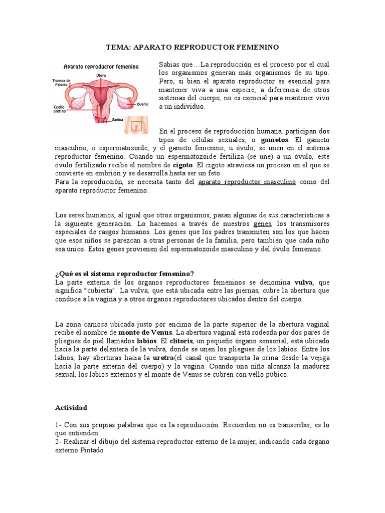 CCNN Proyecto 5 | PDF | Sistema reproductivo | Sexo