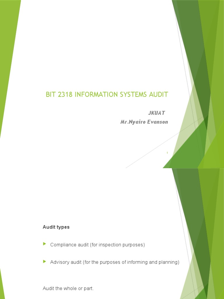 Information Systems Audit Guide | PDF | Audit | Business