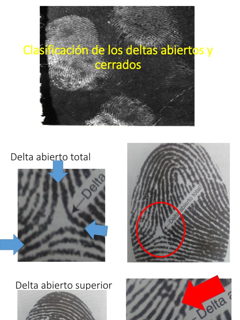 Clasificación de Los Deltas Abiertos y Cerrados | PDF