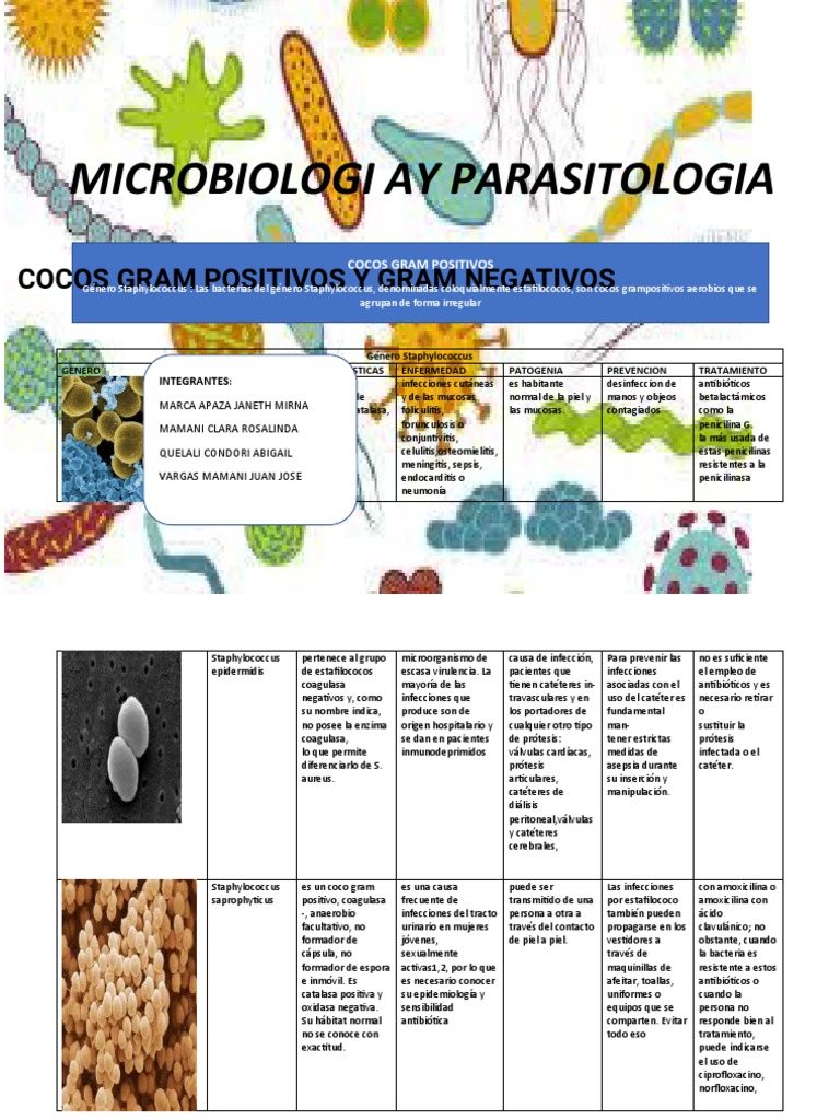 Tabla Gram+ Gram | PDF | Estreptococo | Penicilina