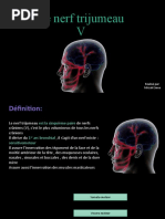 1-ANATOMIE FACIALE (Muscles) | PDF | Lèvre | Anatomie