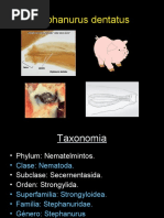 Otobius Megnini. Parasitologia. | PDF