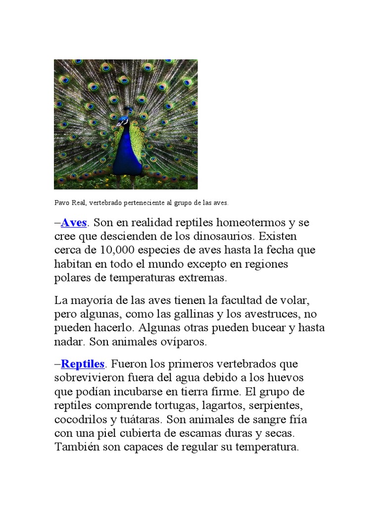 Pavo Real | PDF | Reptil | Aves