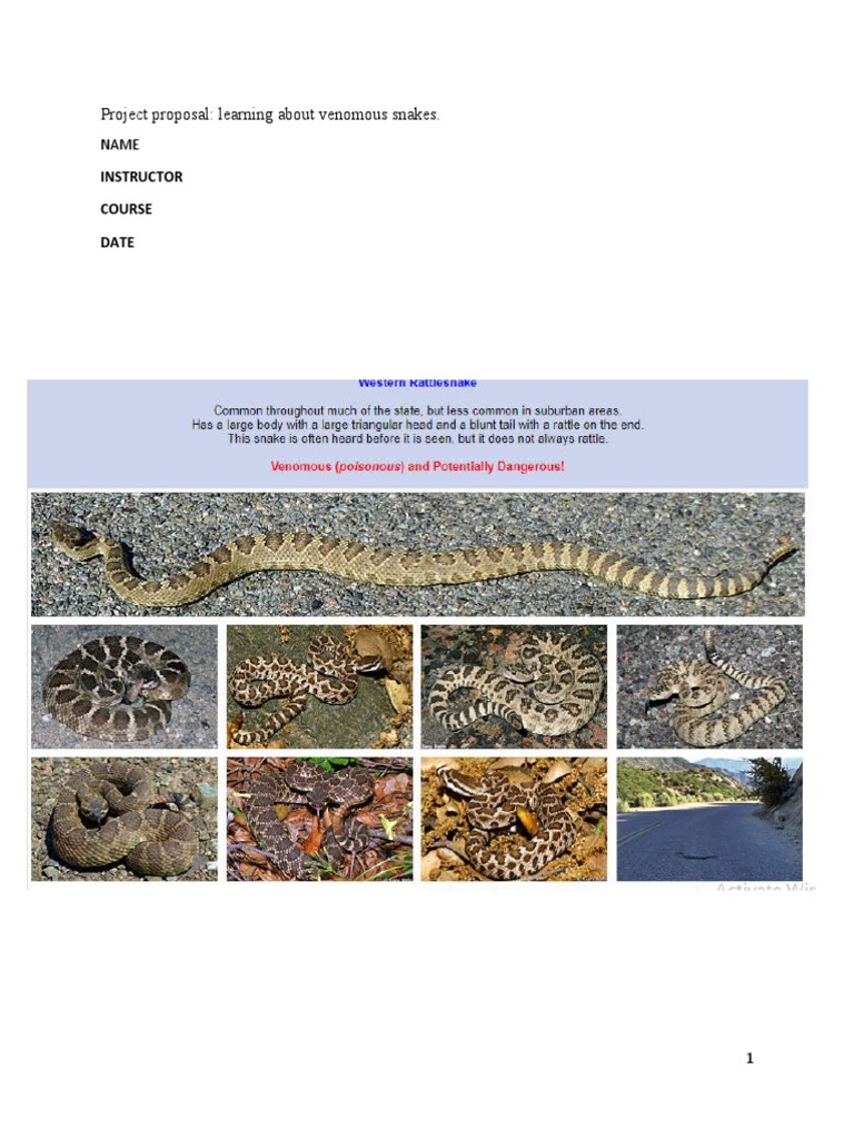 Project Proposal: Learning About Venomous Snakes.: Instructor Course Date | PDF | Rattlesnake ...