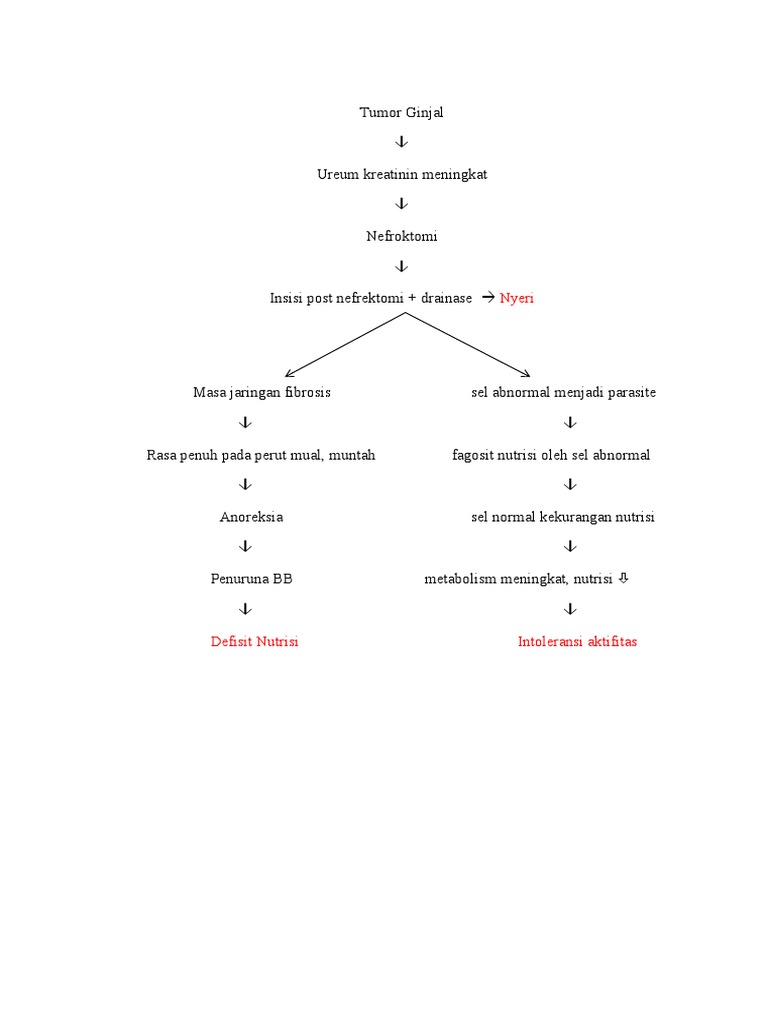 Woc Post Op Tumor Ginjal | PDF
