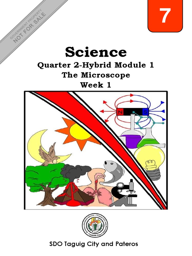 Microscope Module for Science 7 | PDF | Microscope | Electromagnetism