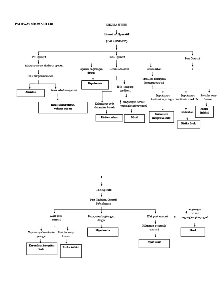 Contoh Pathways Askan Mioma | PDF