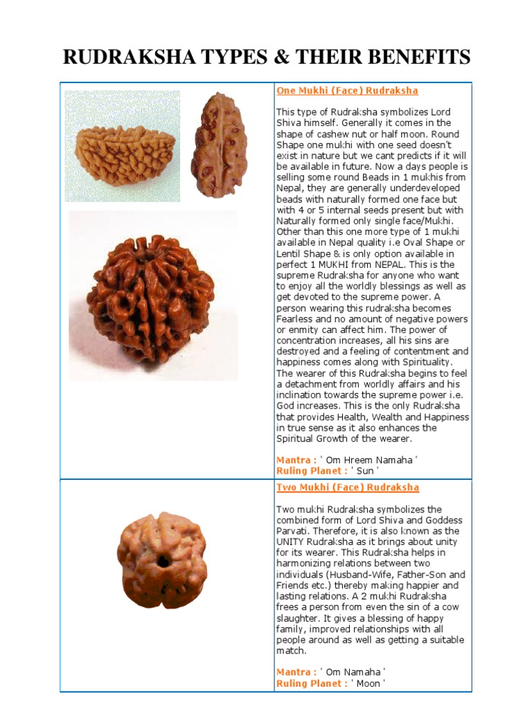 Rudraksha Types & Their Benefits: One Mukhi (Face) Rudraksha | PDF