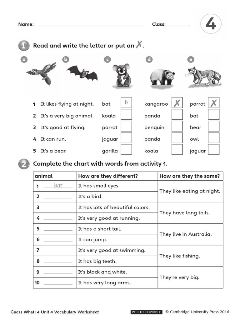 Wild Animals Test 1 | PDF | Zoology
