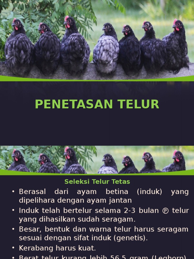 Uts Itunr | PDF