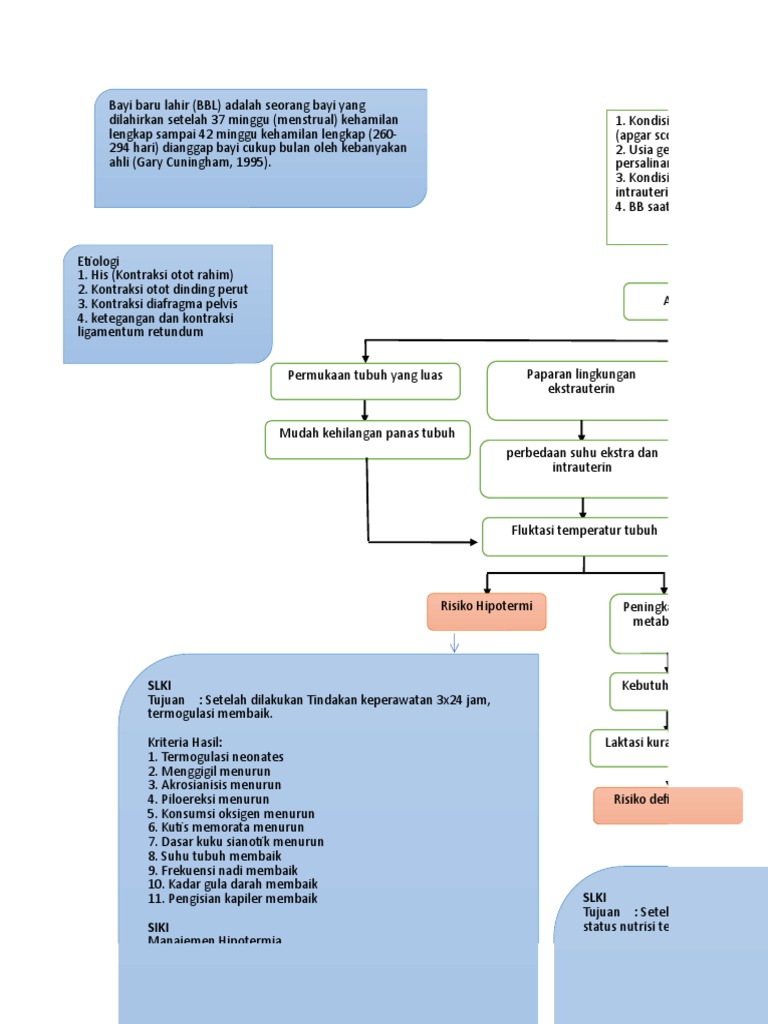 Mind Mapping BBL | PDF