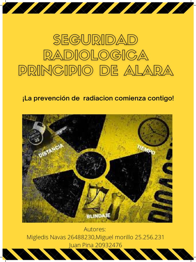 Seguridad Radiologica PRINCIPIO de ALARA | PDF | Radiación ionizante ...