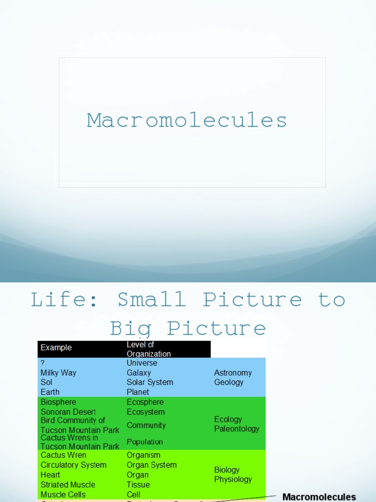 Macromolecules PPT 1 2 | PDF | Carbohydrates | Lipid