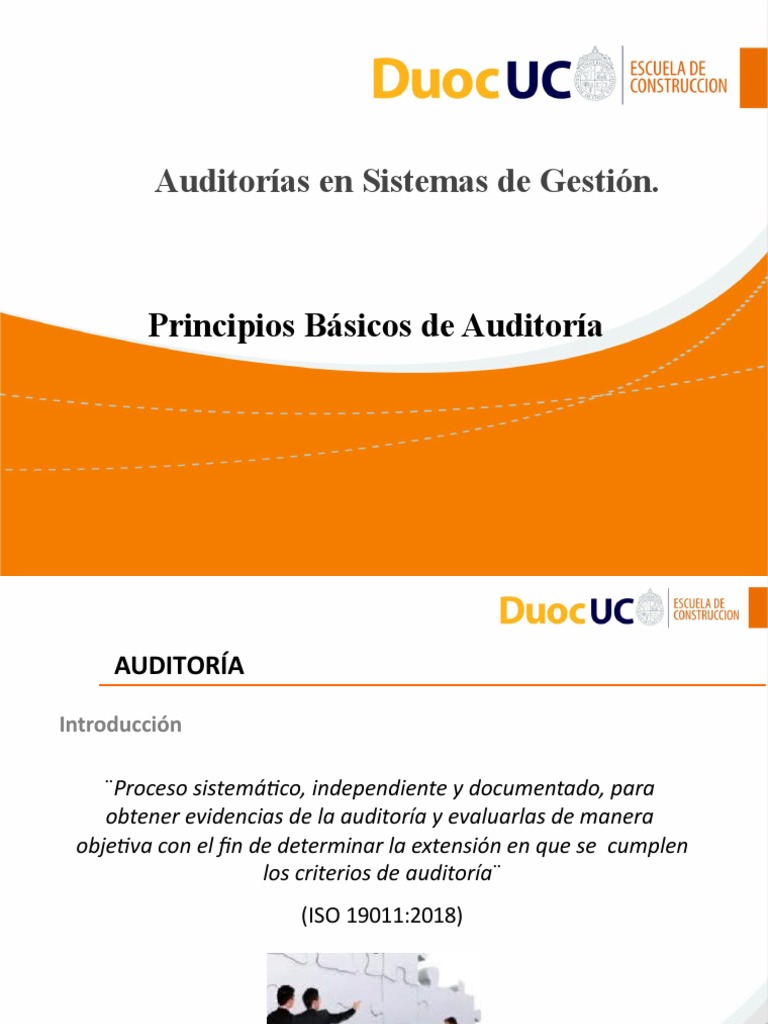 1 Principios Básicos de Auditoría | PDF | Auditoría | Business