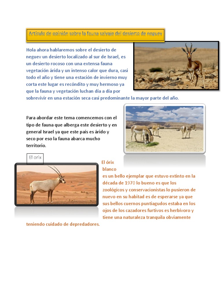 Articulo de Opinion Sobre Los Animales Del Desierto de Neguev | PDF ...